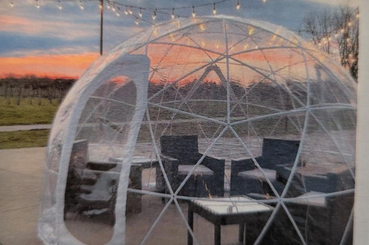 **Daniel's Vineyard Igloo Experience** | Powered by Givergy