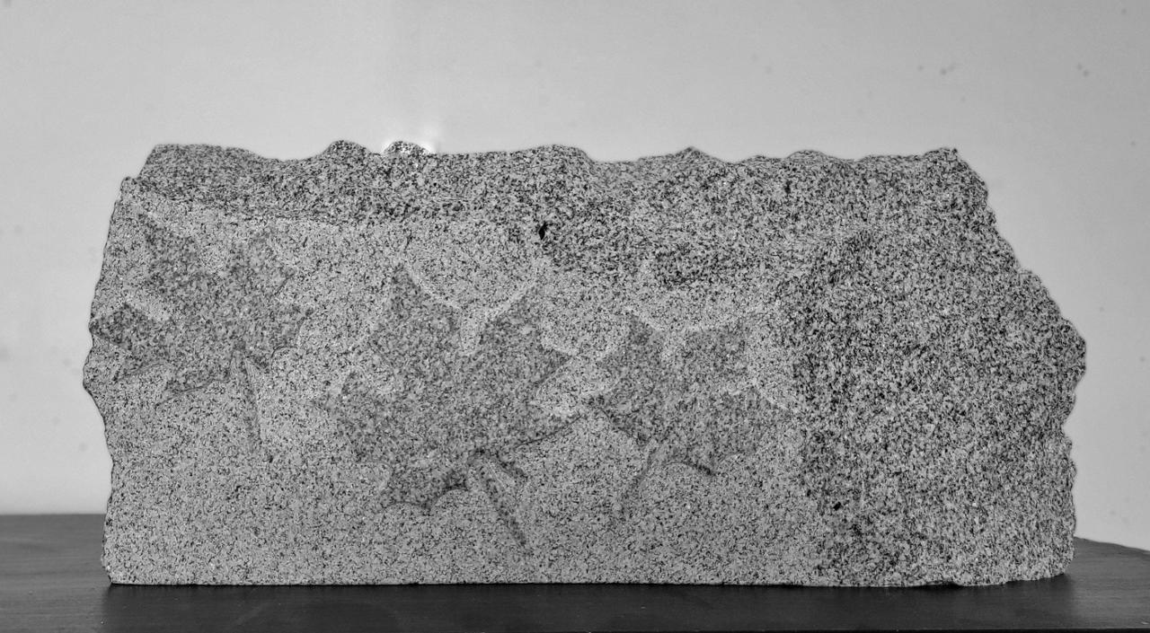 Stick Season - Heather Milne Ritchie | Powered by Givergy