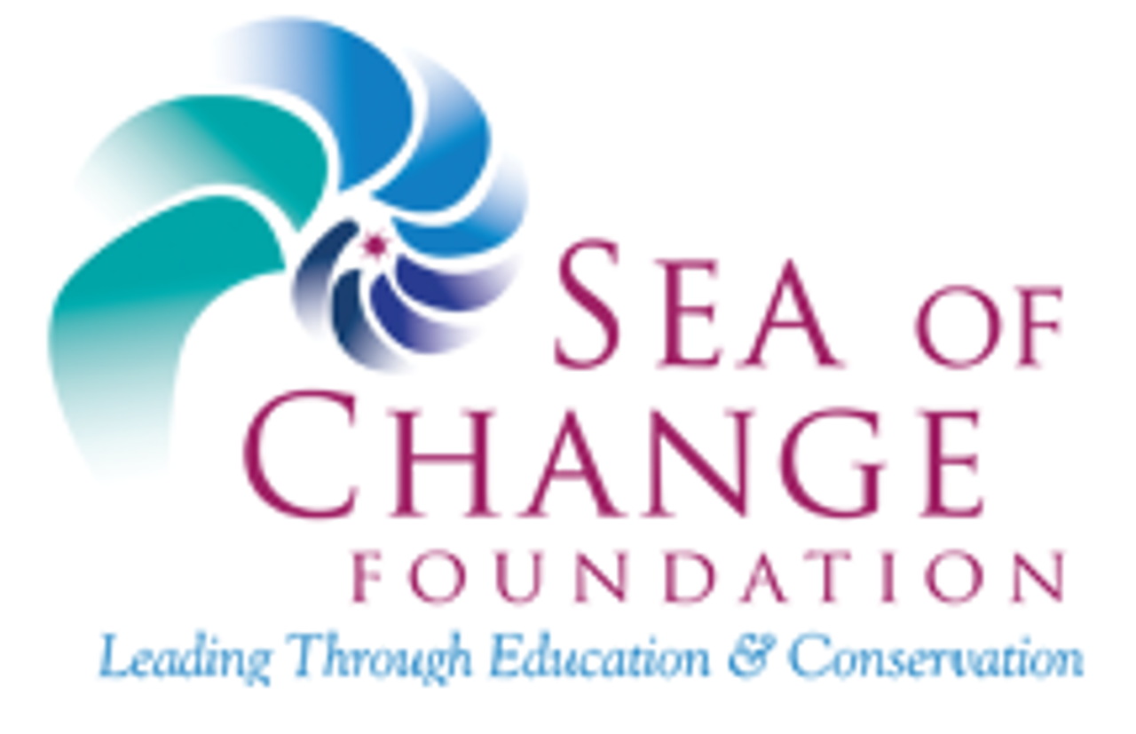 Sea of Change Foundation-2023 Online Fundraising Campaign | Powered by ...
