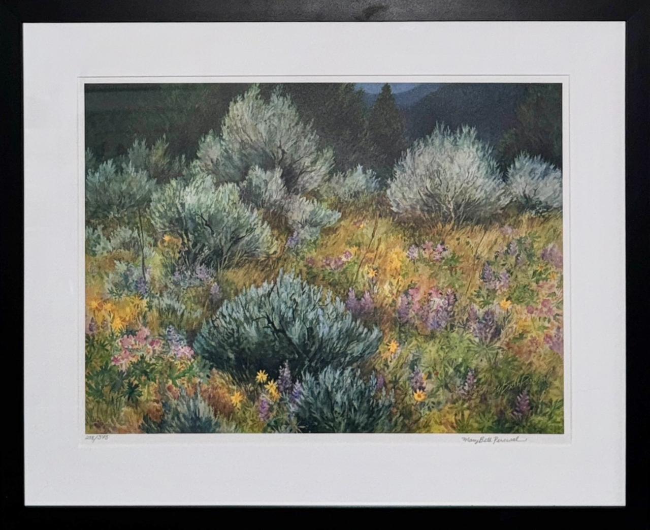 Mary Beth Percival's _Silver Sage_ – Print #238 of 375 | Powered by Givergy