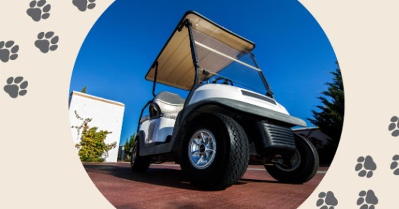 APL Golf Cart Raffle | Powered by Givergy