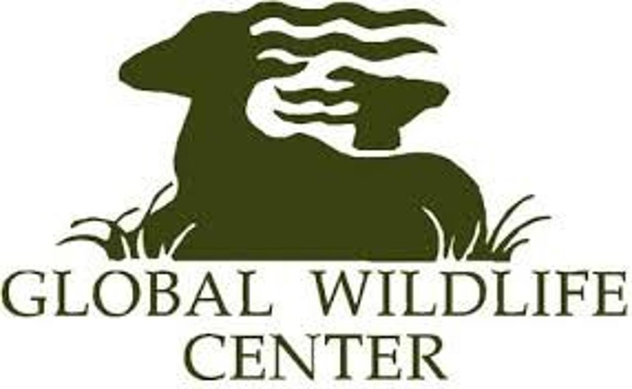 Global Wildlife Center Safari Adventure for 4 | Powered by Givergy