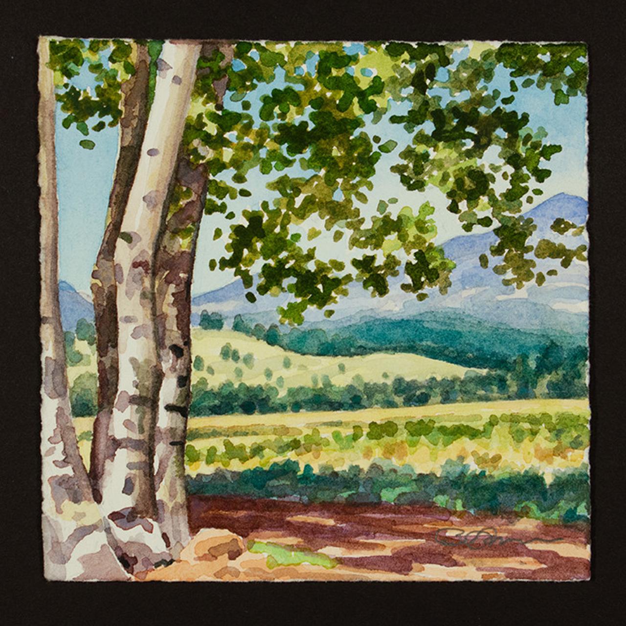 Bruce Horn | Powered by Givergy