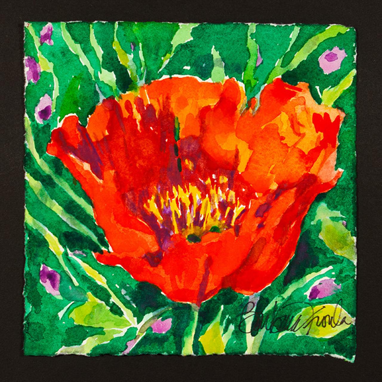 Barbara Froula | Powered by Givergy