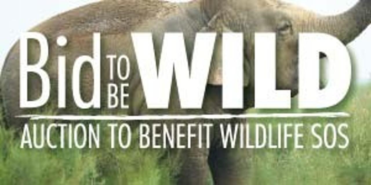 Wildlife SOS 2024 | Powered by Givergy